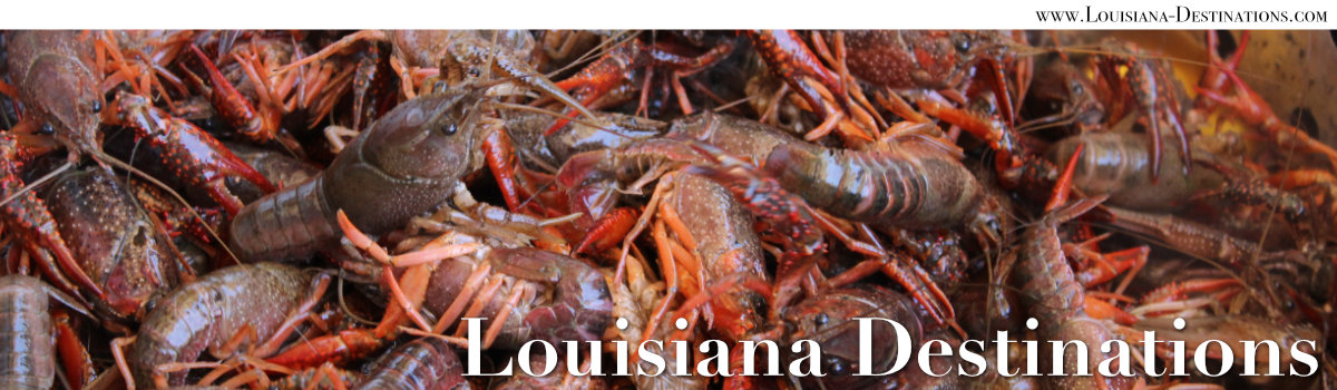 Louisiana crawfish, crawfish boil, crawfish photographs, ordering live ...